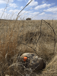 MDU Ellendale, ND to Leola, SD 115kV Transmission Line - Infrastructure ...